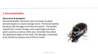 ento 332 caja-2020-027.pptx