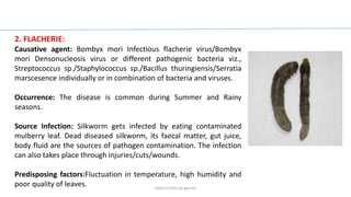 ento 332 caja-2020-027.pptx