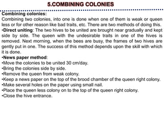 ENTO 332_Lec No.4_Bee Colony Activities - Copy.pptx