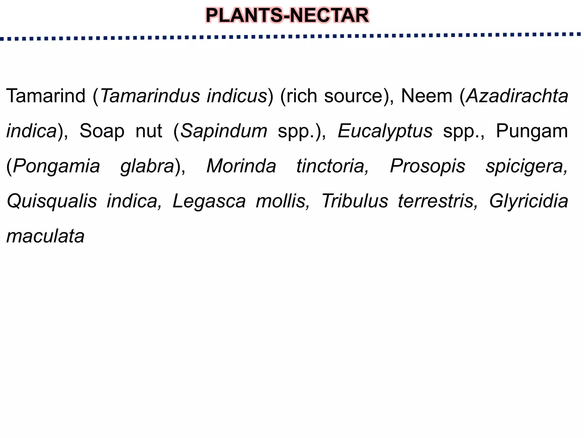 ENTO 332_Lec No.5_Bee Pasturage.pptx