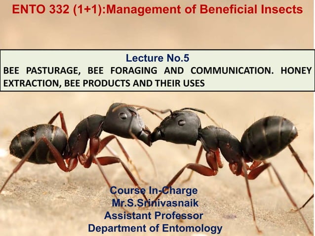 ENTO 332_Lec No.5_Bee Pasturage.pptx