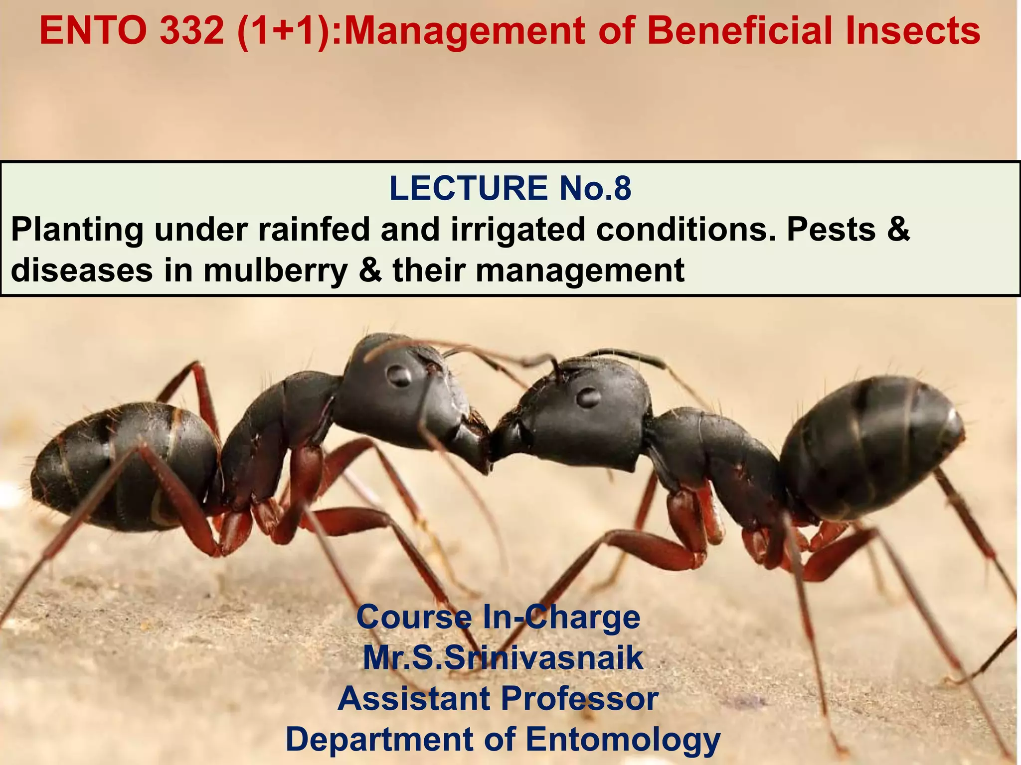ENTO 332_Lec No.7_Moriculture.ppt