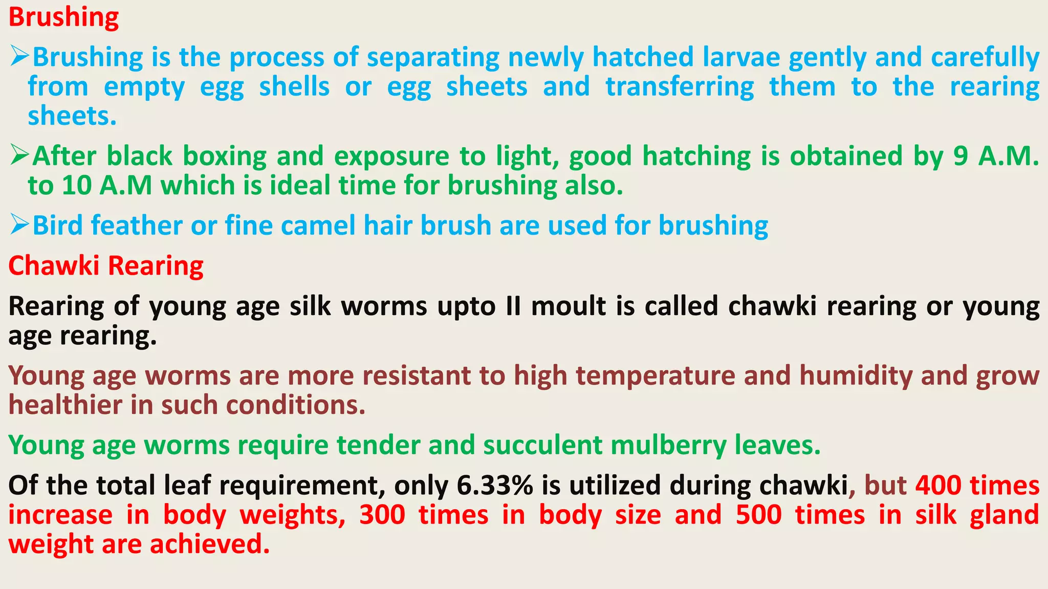 ENTO 332_Lec No.10_Grainage and Chawki and Late age rearing.pptx