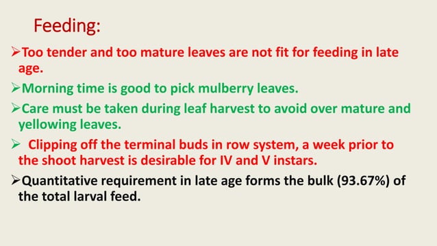 ENTO 332_Lec No.10_Grainage and Chawki and Late age rearing.pptx