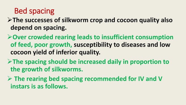 ENTO 332_Lec No.10_Grainage and Chawki and Late age rearing.pptx