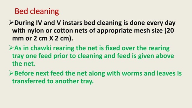ENTO 332_Lec No.10_Grainage and Chawki and Late age rearing.pptx