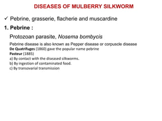 ENTO 332_Lec No.13_Pests and Diseases of Silkworms.ppt