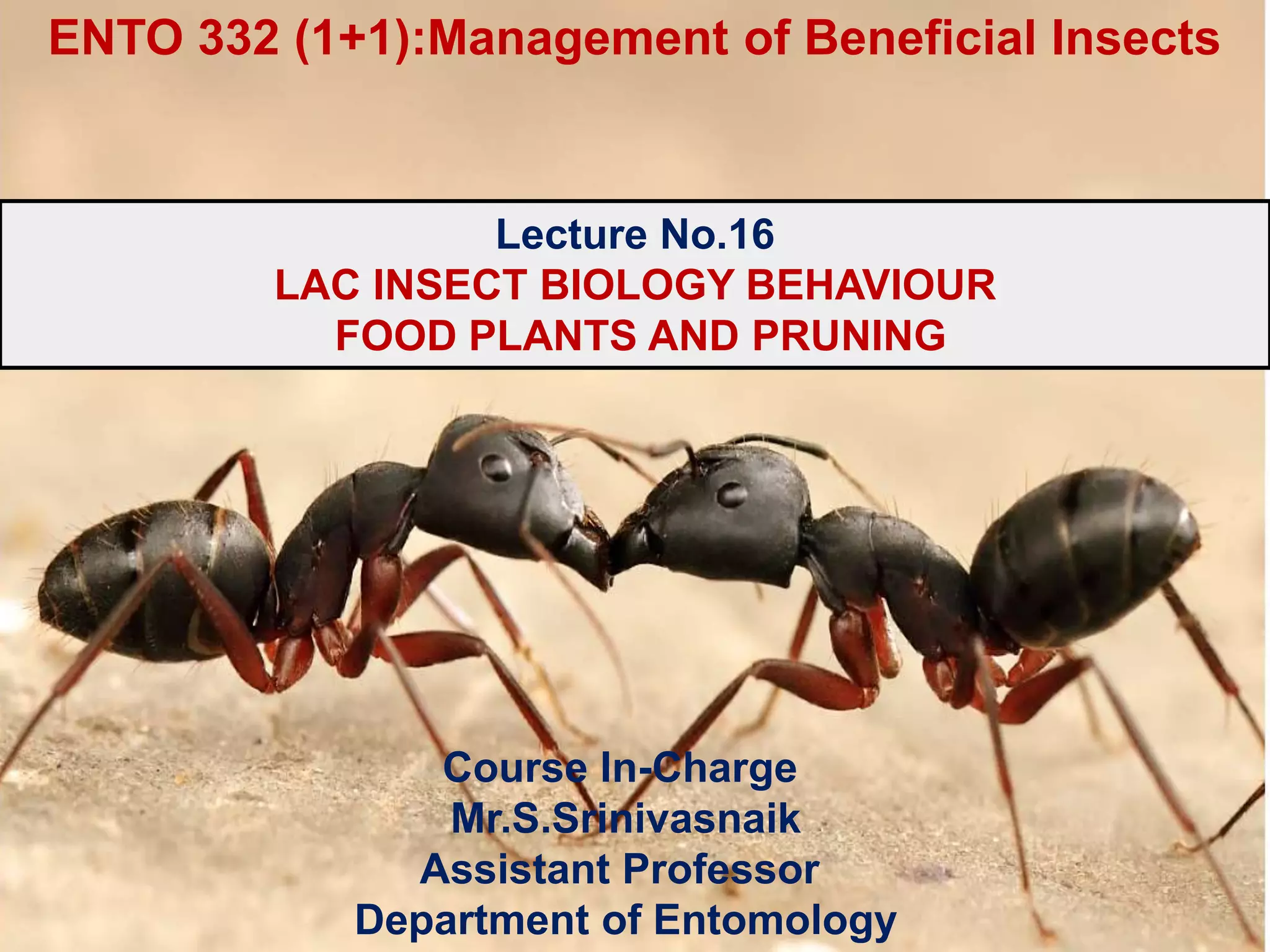 ENTO 332_Lec No.14_Lac Insects.ppt