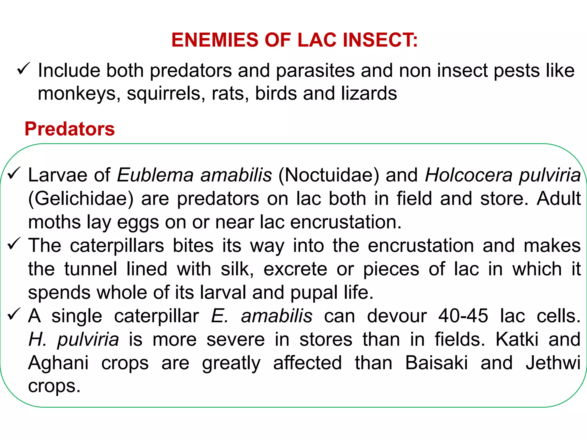 ENTO 332_Lec No.14_Lac Insects.ppt