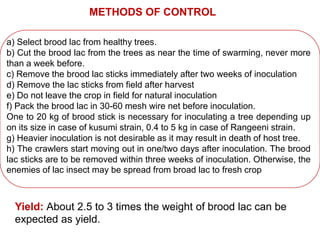 ENTO 332_Lec No.14_Lac Insects.ppt