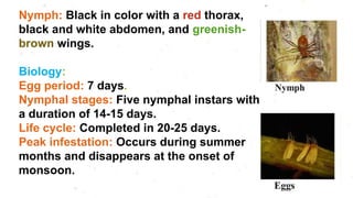 Pests of neem and eucalyptus Presentation.pptx