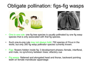 PlantInteractions.pdf