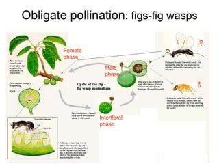 PlantInteractions.pdf