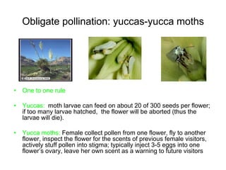 PlantInteractions.pdf