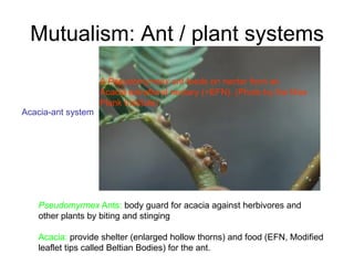 PlantInteractions.pdf