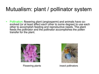 PlantInteractions.pdf
