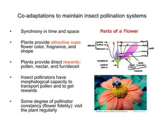 PlantInteractions.pdf