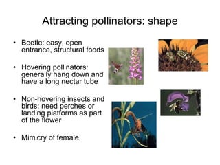 PlantInteractions.pdf