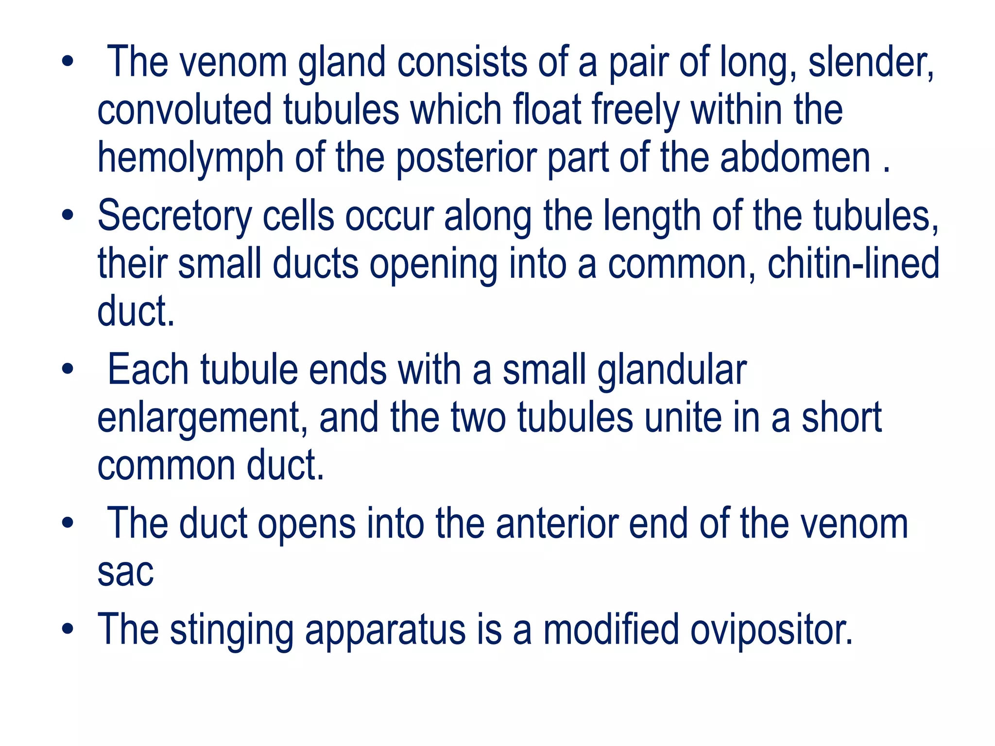 honey bee glands | PPTX