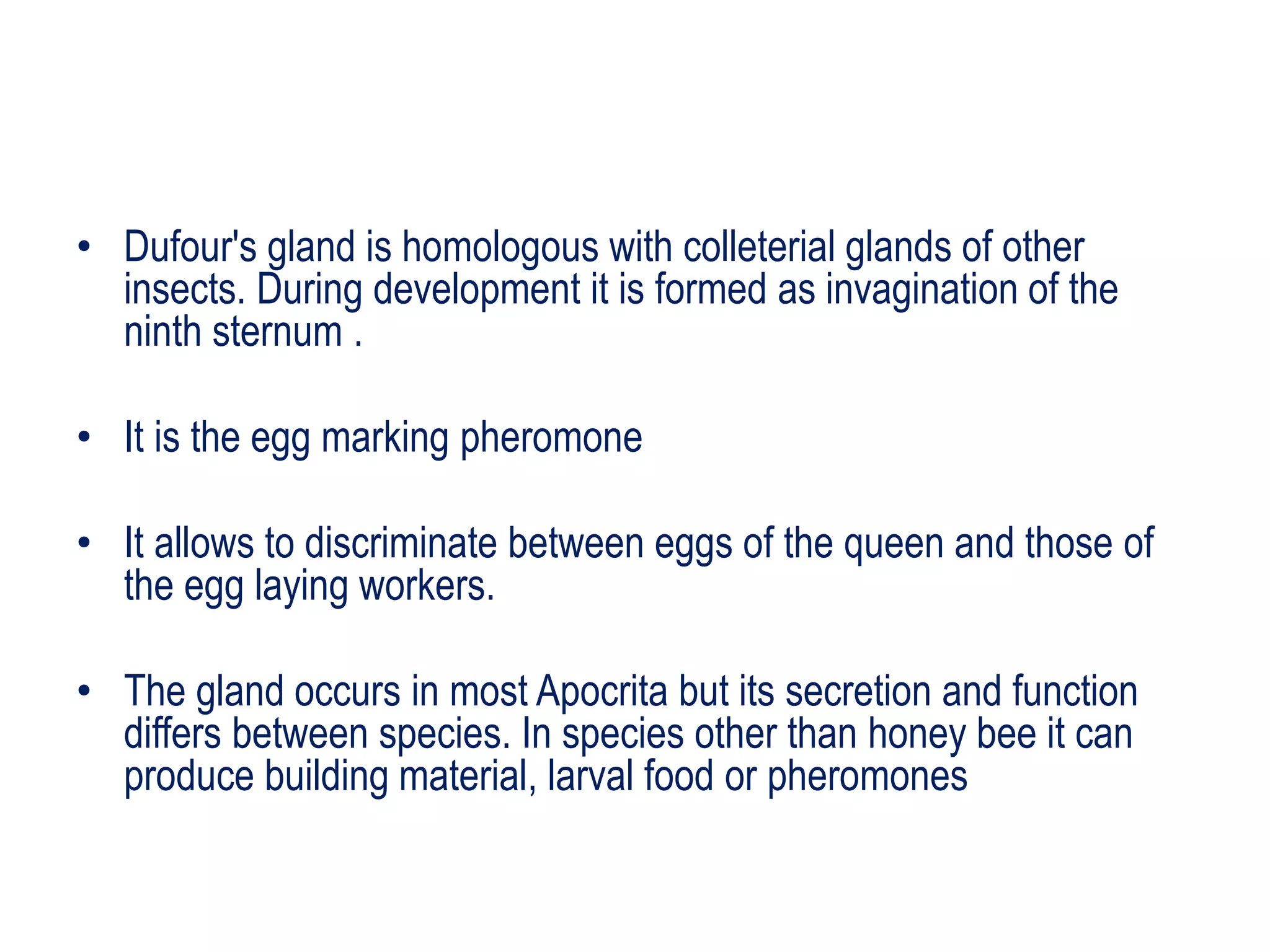 honey bee glands | PPTX