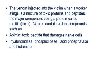 honey bee glands | PPTX