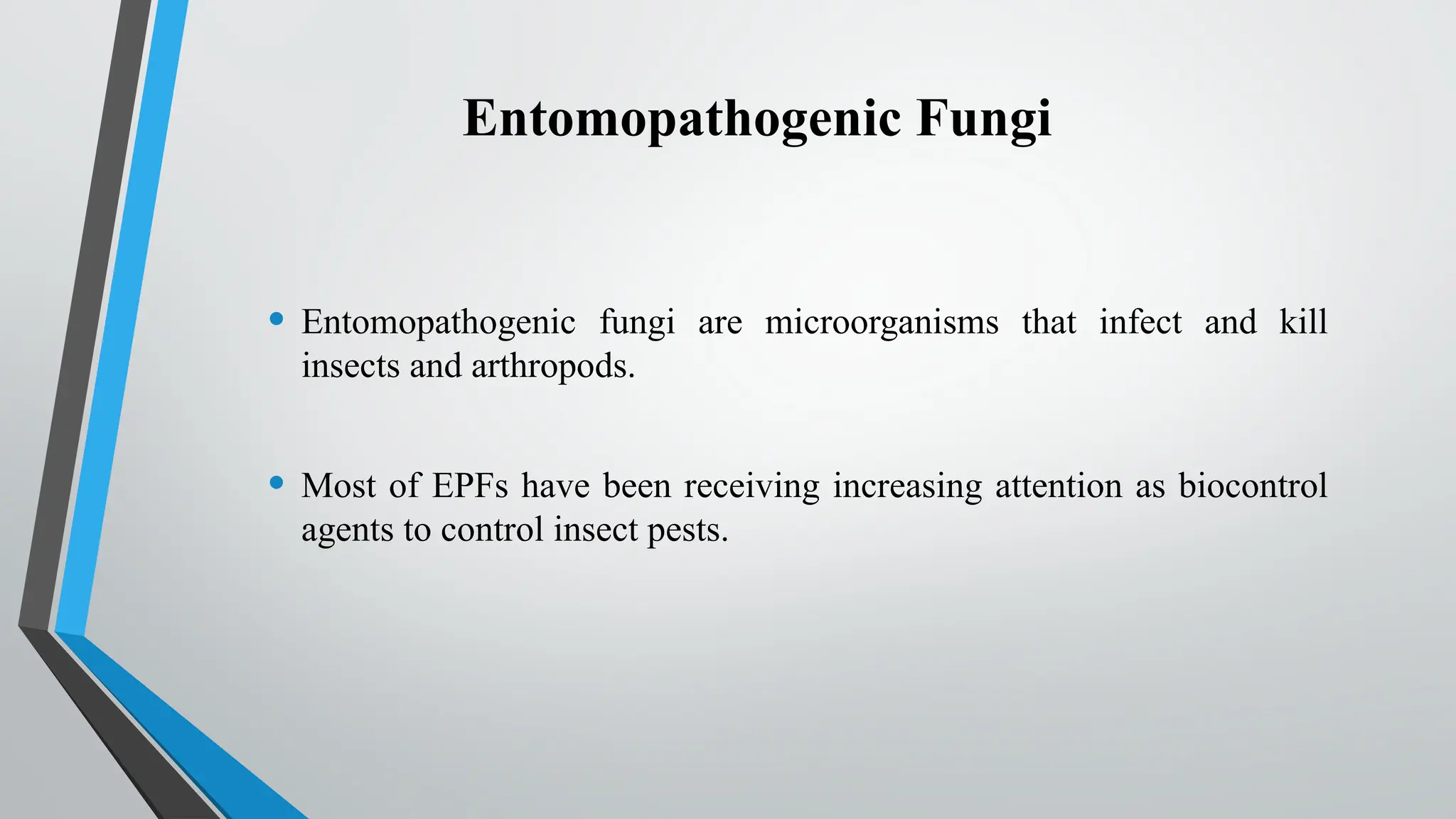 Ecology of Pathogenic Fungi | Fungal entomopathogens’ interactions with ...