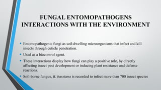 Ecology of Pathogenic Fungi | Fungal entomopathogens’ interactions with ...