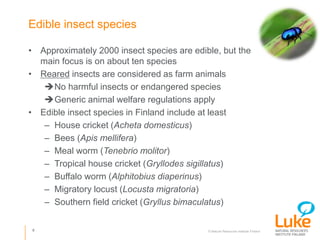 Entolab njf / Insects – a potential protein source for feed and food | PPTX