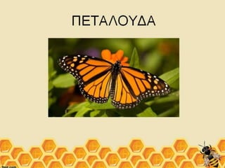 ΤΑ ΕΝΤΟΜΑ ΤΗΣ ΑΝΟΙΞΗΣ | PPT