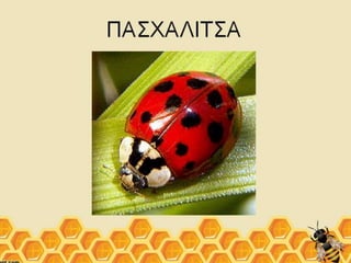 ΤΑ ΕΝΤΟΜΑ ΤΗΣ ΑΝΟΙΞΗΣ | PPT