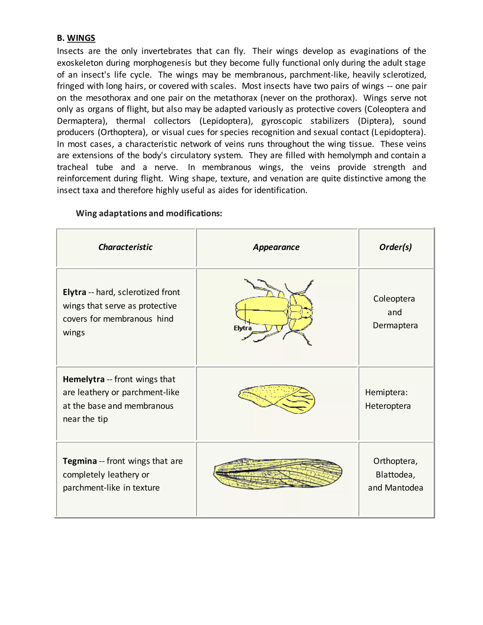 Entomology (Insect Parts) | PDF