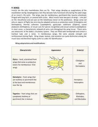 Entomology (Insect Parts) | PDF