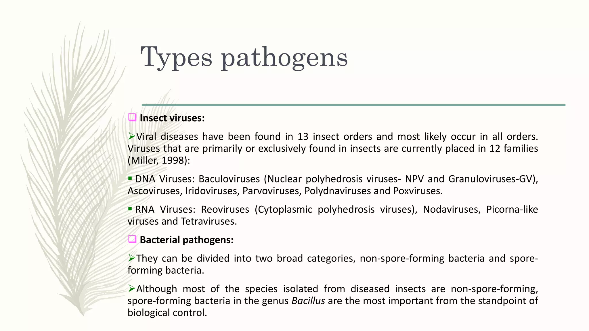 Entomopathogenic protozoa and spiroplasma | PPTX