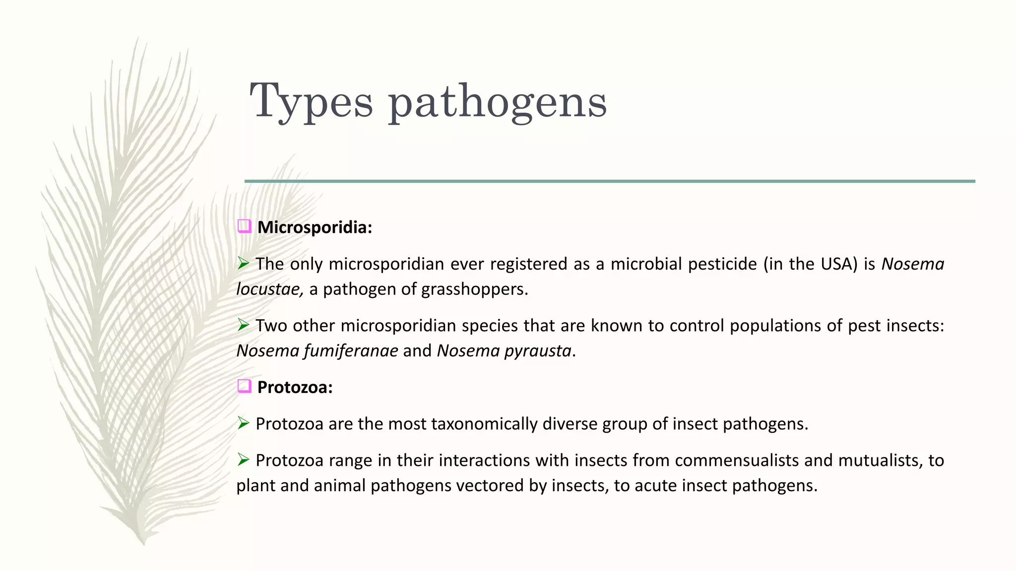 Entomopathogenic protozoa and spiroplasma | PPTX