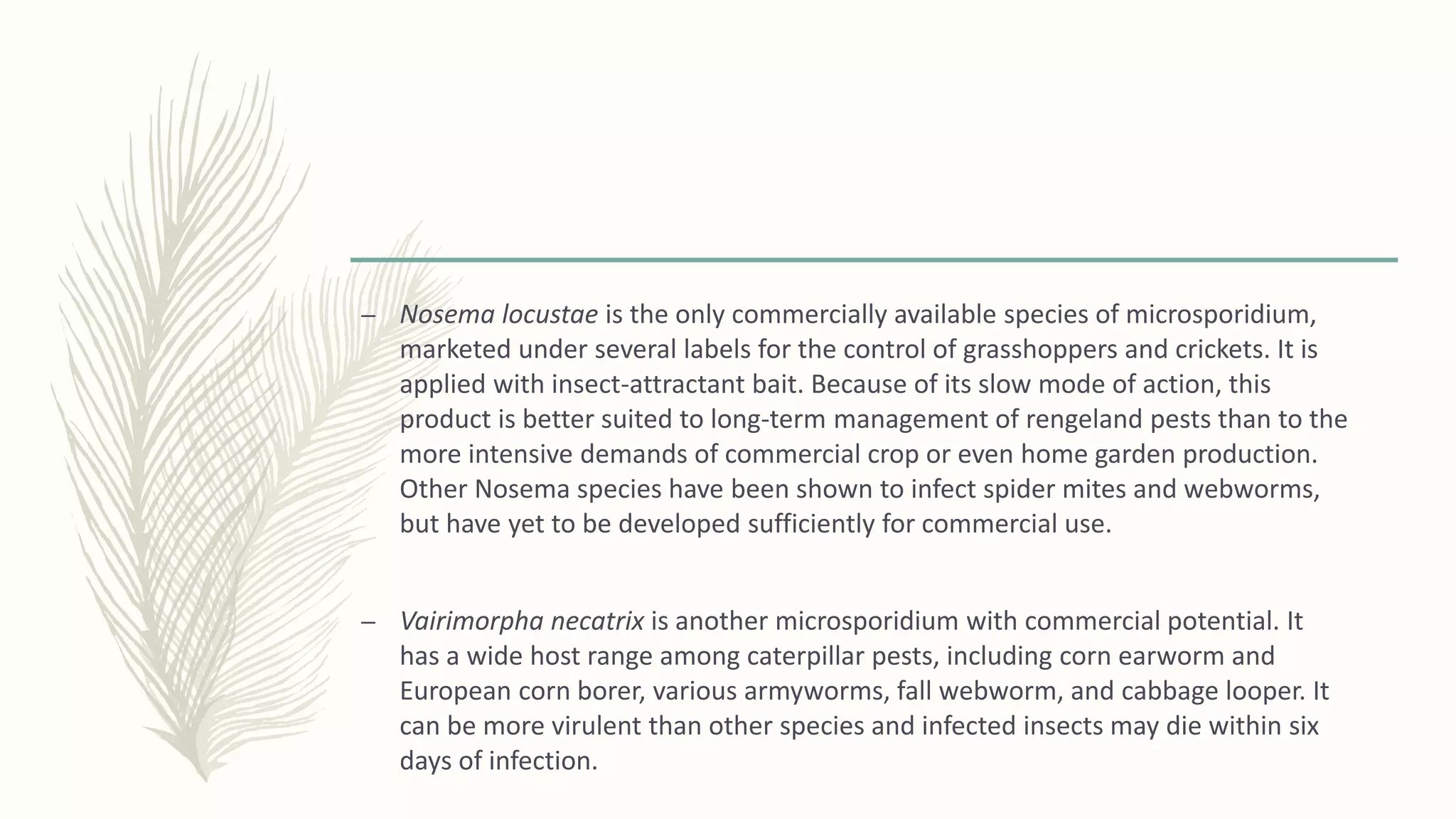 Entomopathogenic protozoa and spiroplasma | PPTX