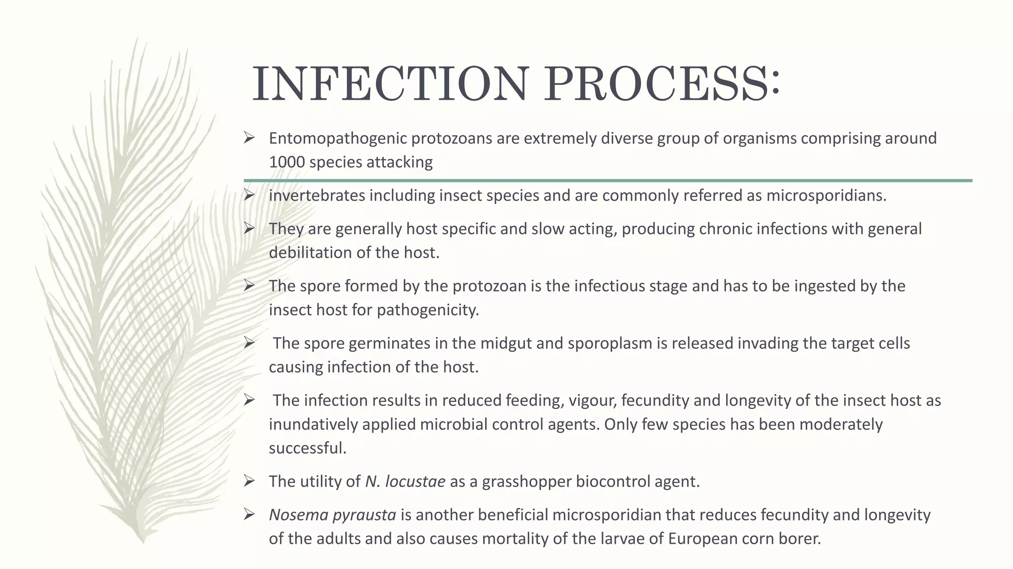 Entomopathogenic protozoa and spiroplasma | PPTX