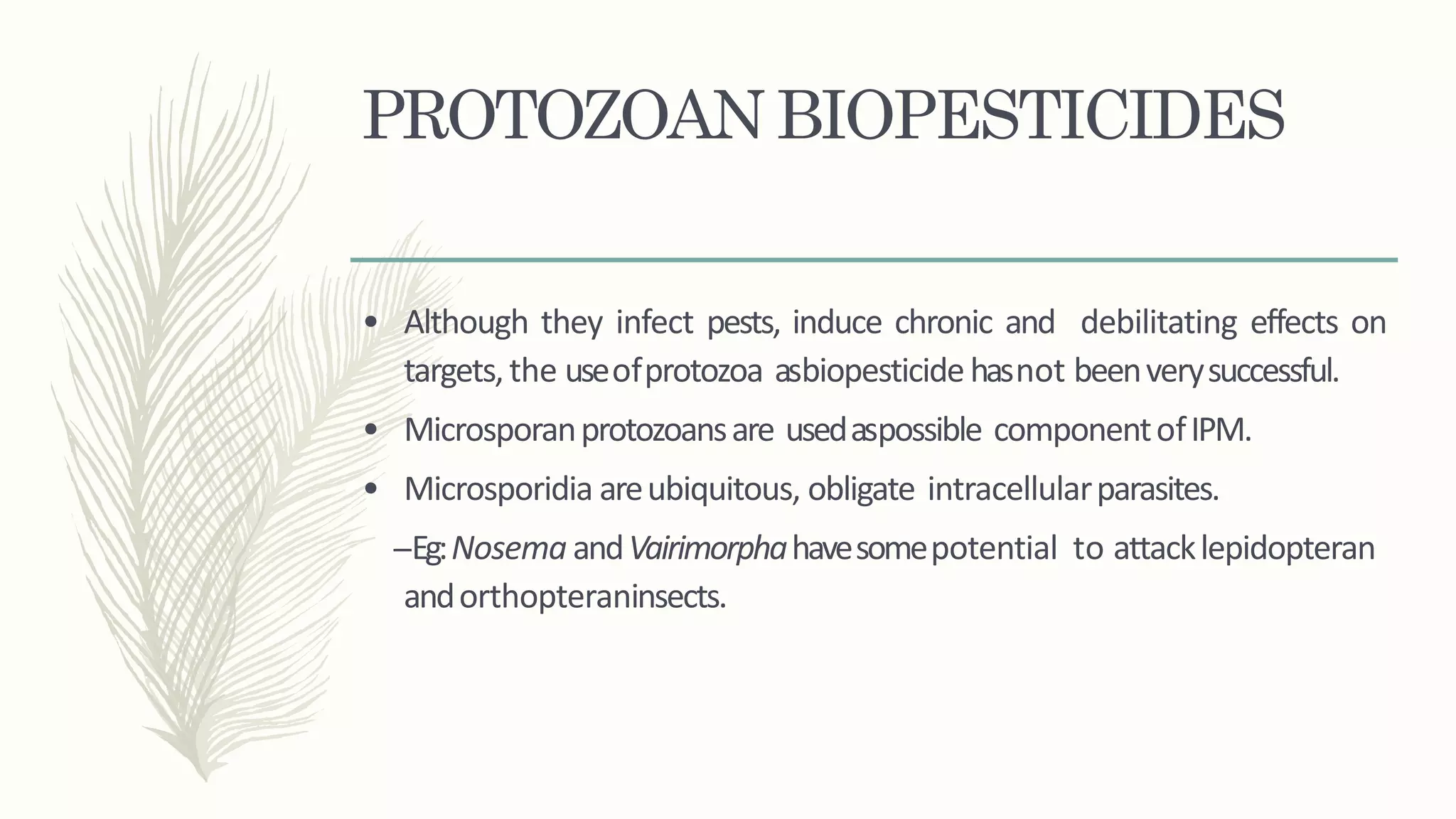 Entomopathogenic protozoa and spiroplasma | PPTX