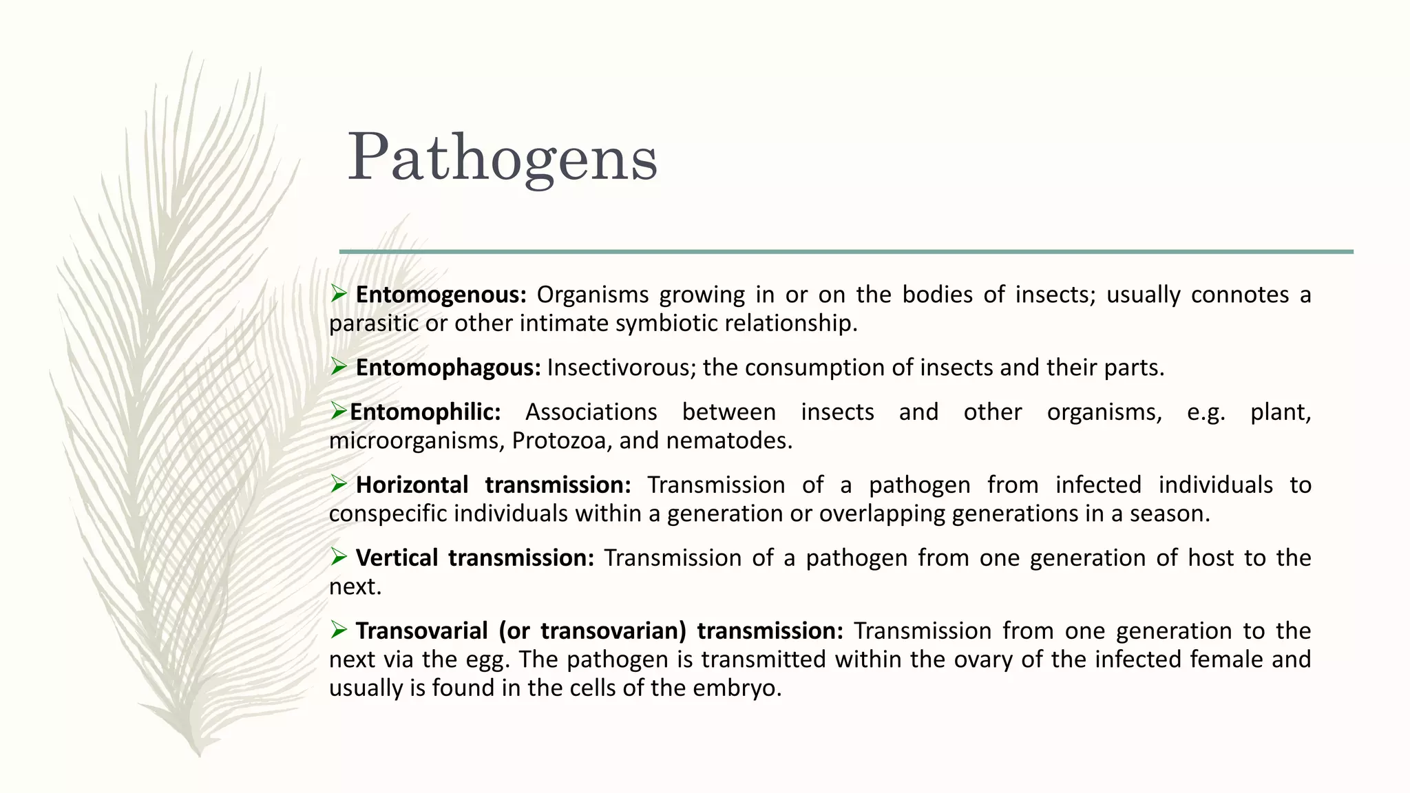 Entomopathogenic protozoa and spiroplasma | PPTX