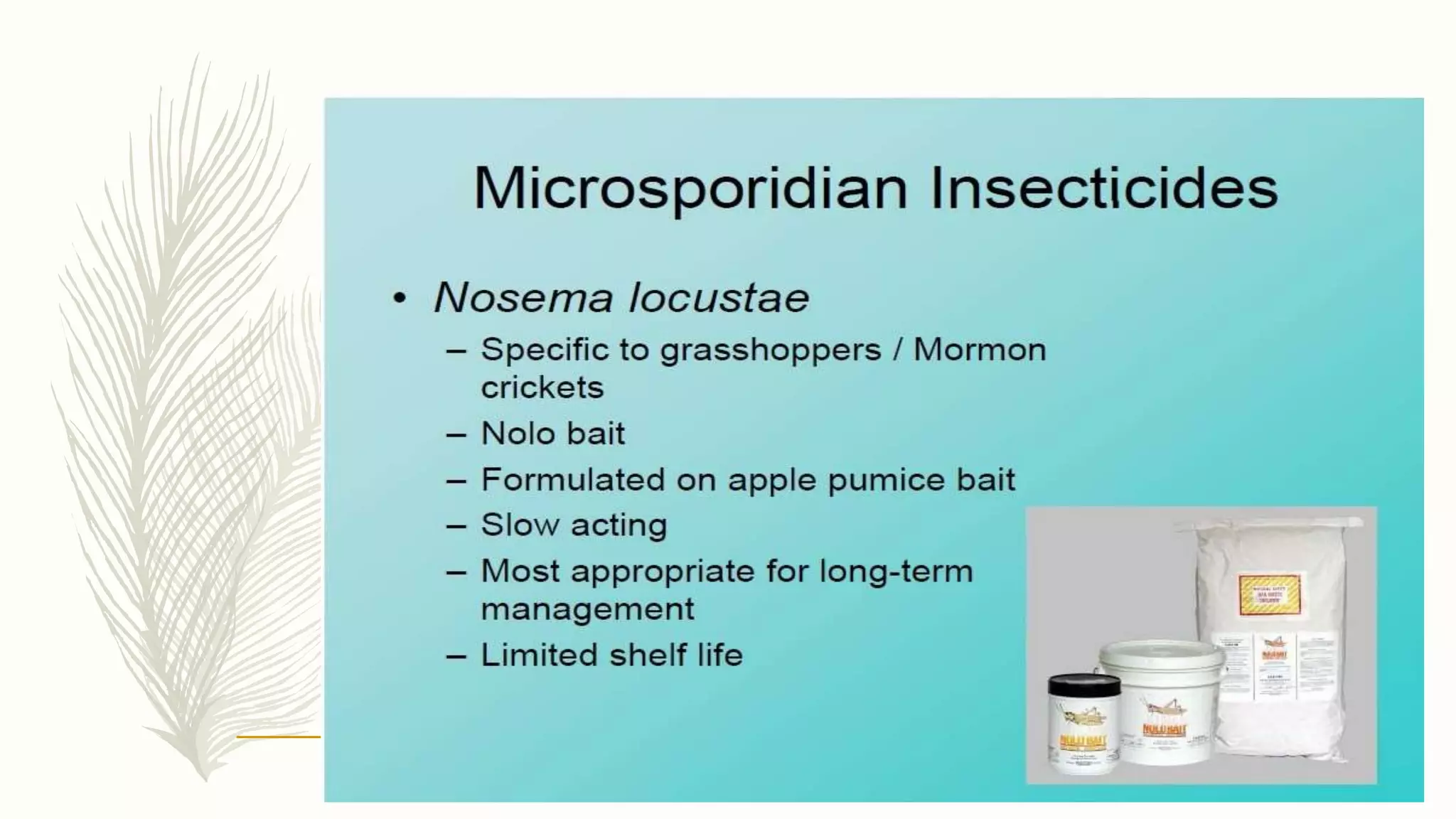 Entomopathogenic protozoa and spiroplasma | PPTX