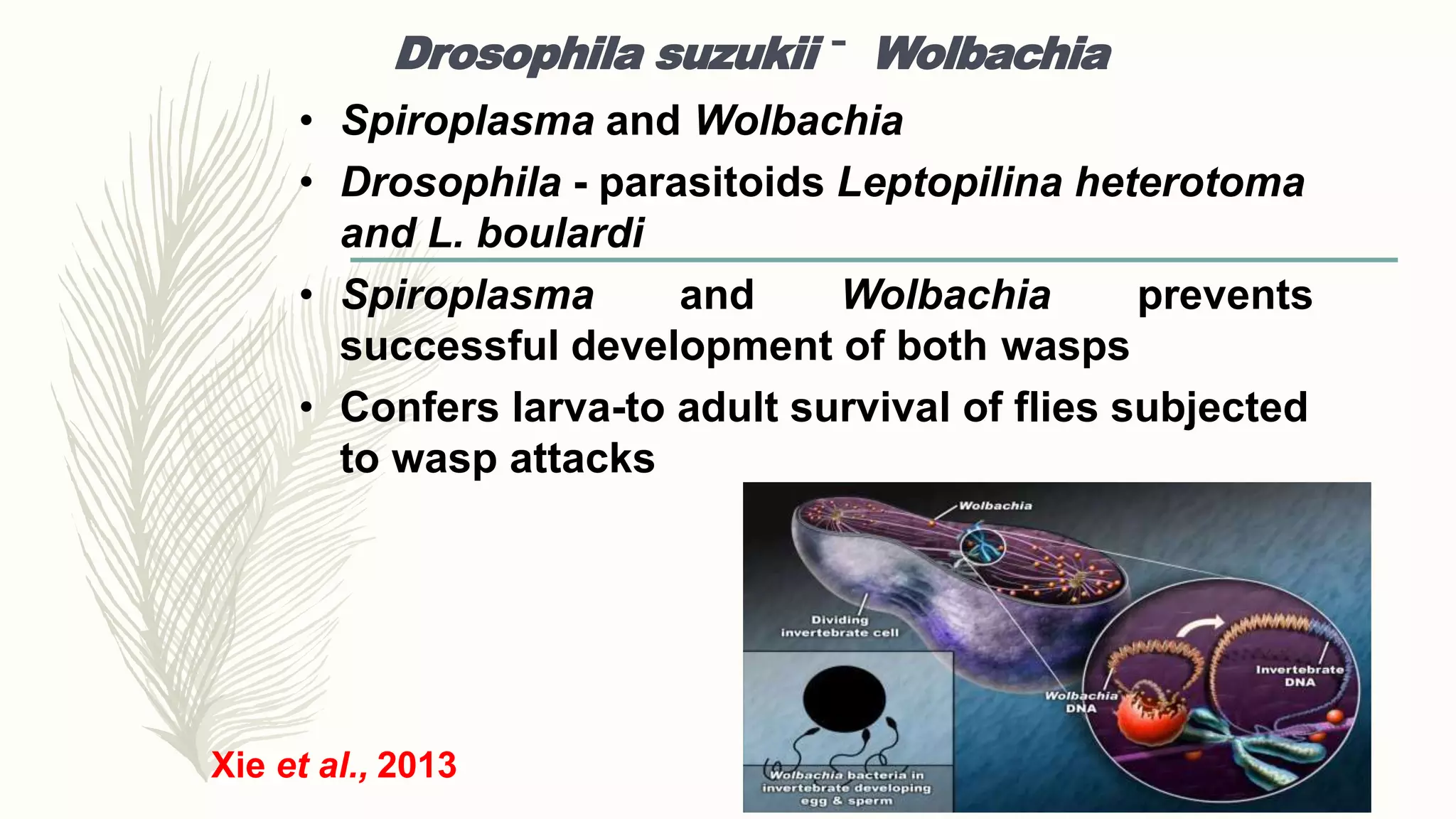 Entomopathogenic protozoa and spiroplasma | PPTX