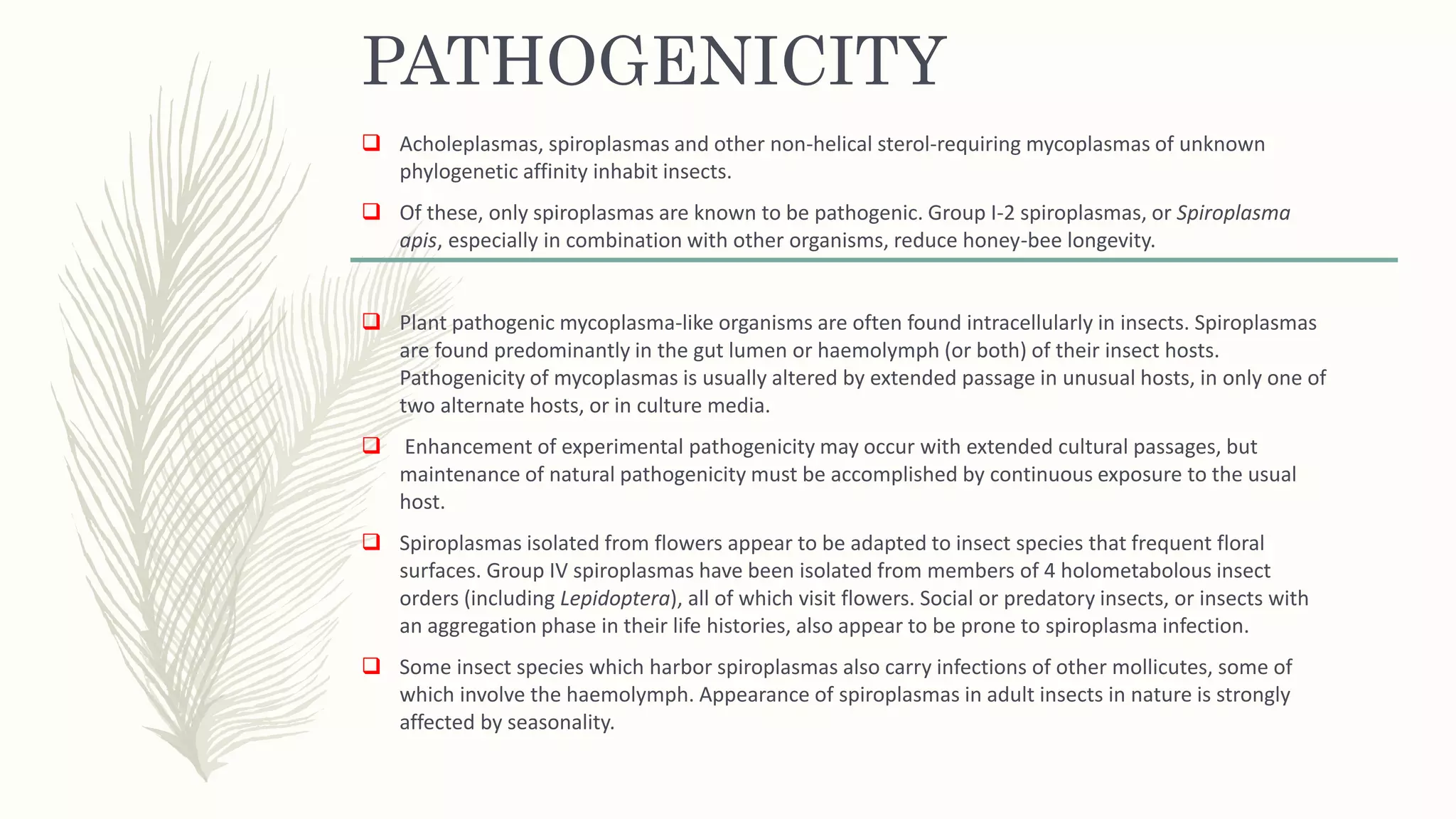 Entomopathogenic protozoa and spiroplasma | PPTX