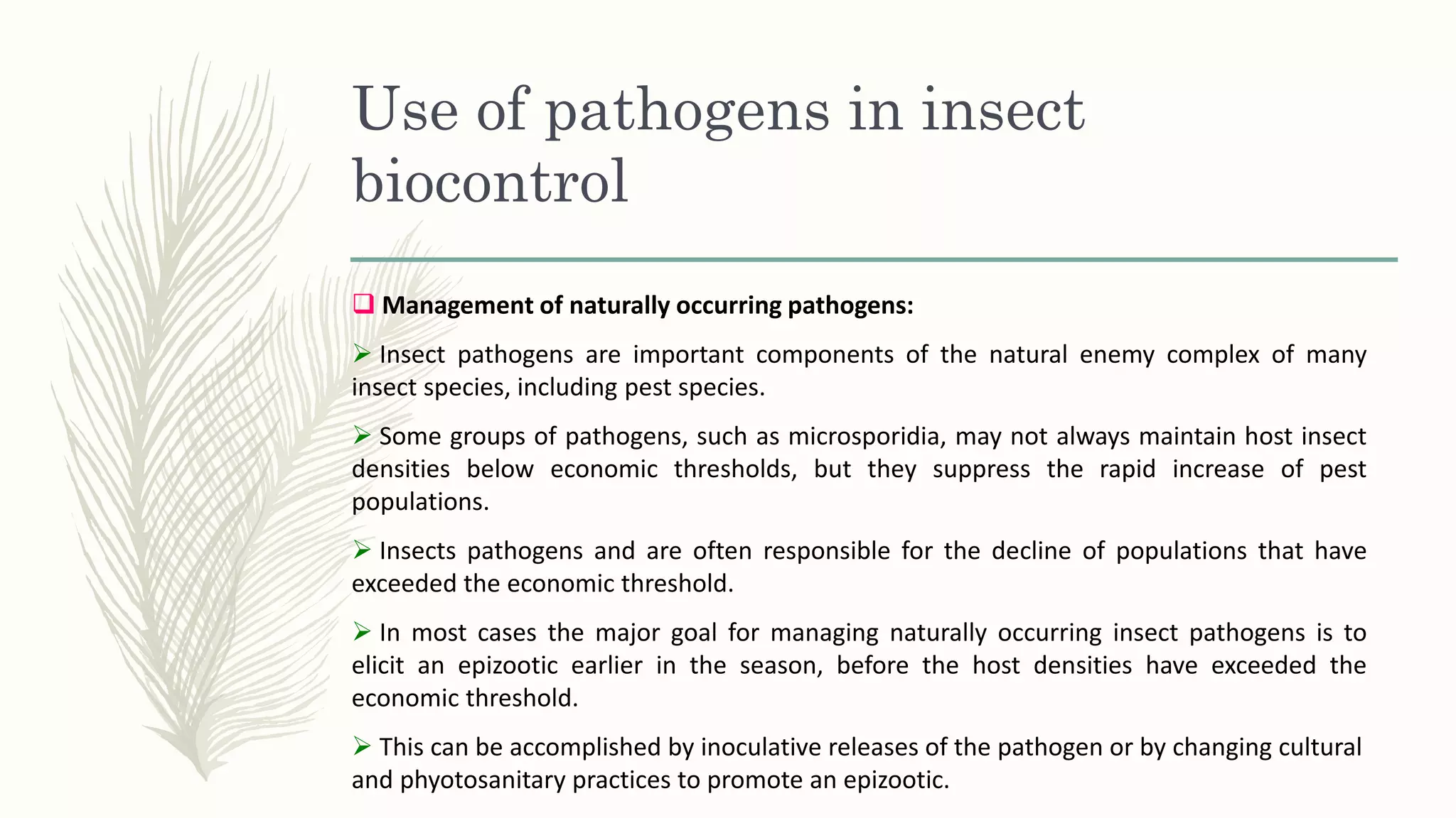 Entomopathogenic protozoa and spiroplasma | PPTX