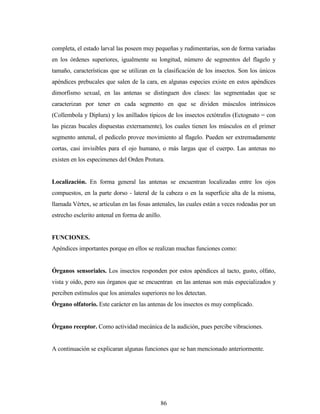 Entomologia morfologia-y-fisiologia-de-los-insectos-un | PDF