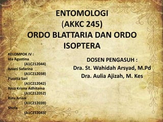 PPT Entomologi blattaria dan isoptera | PPTX