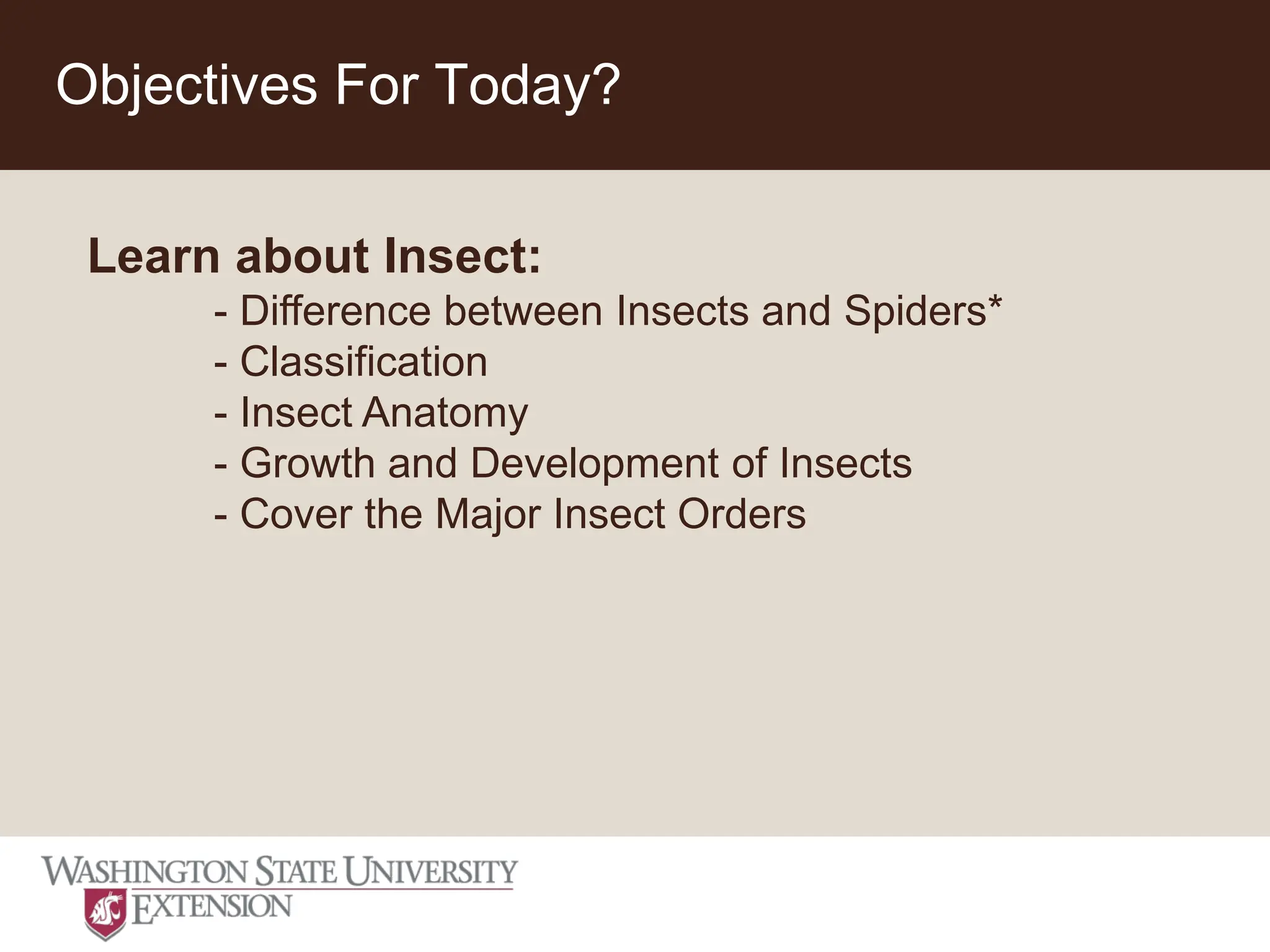 Entomology-101-slides-1-58.pdf Aprende de insectos | PDF