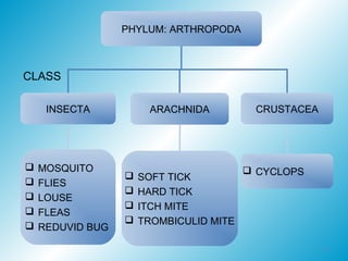 Entomology | PPT