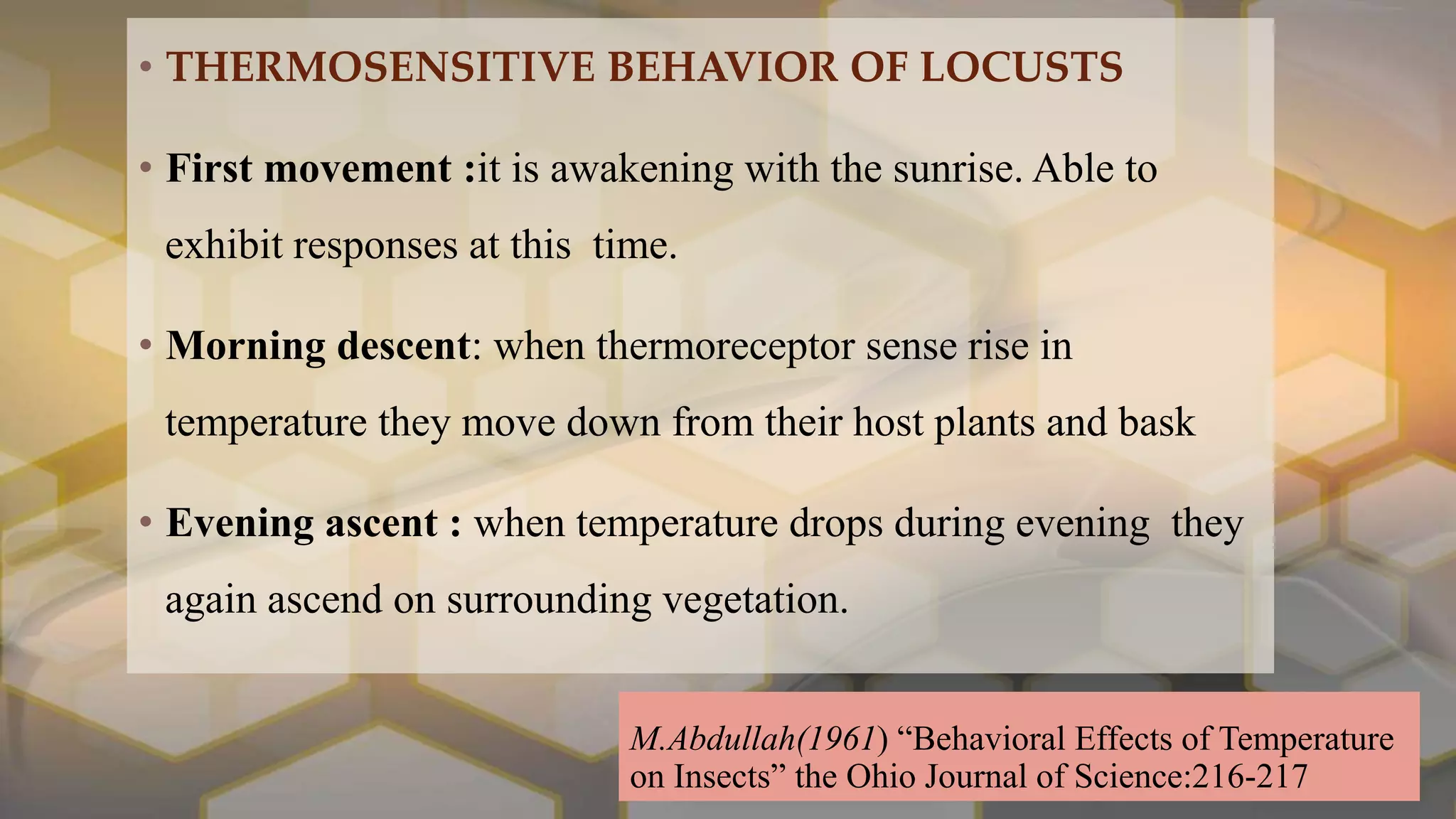 Thermoreception in Insects | PPTX