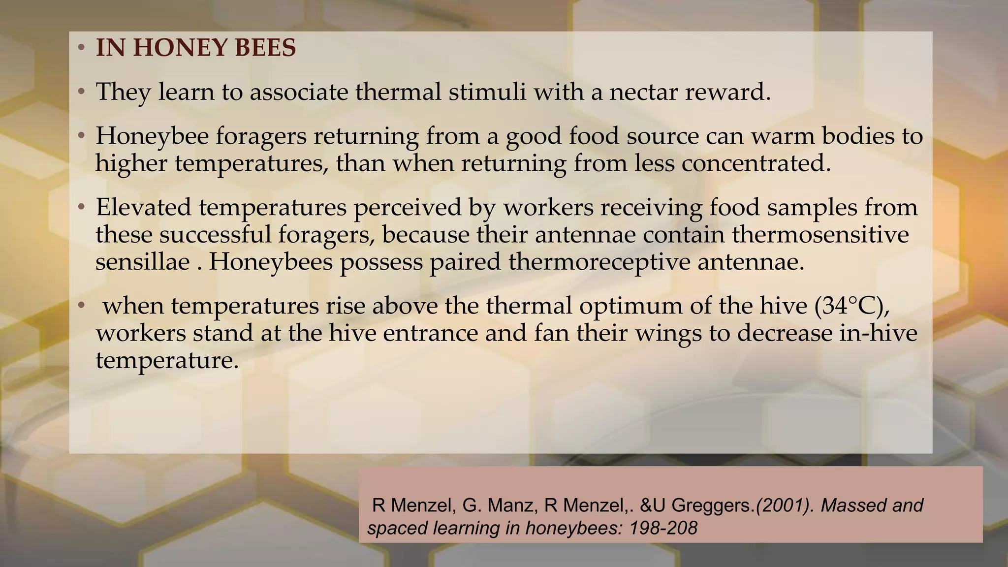 Thermoreception in Insects | PPTX
