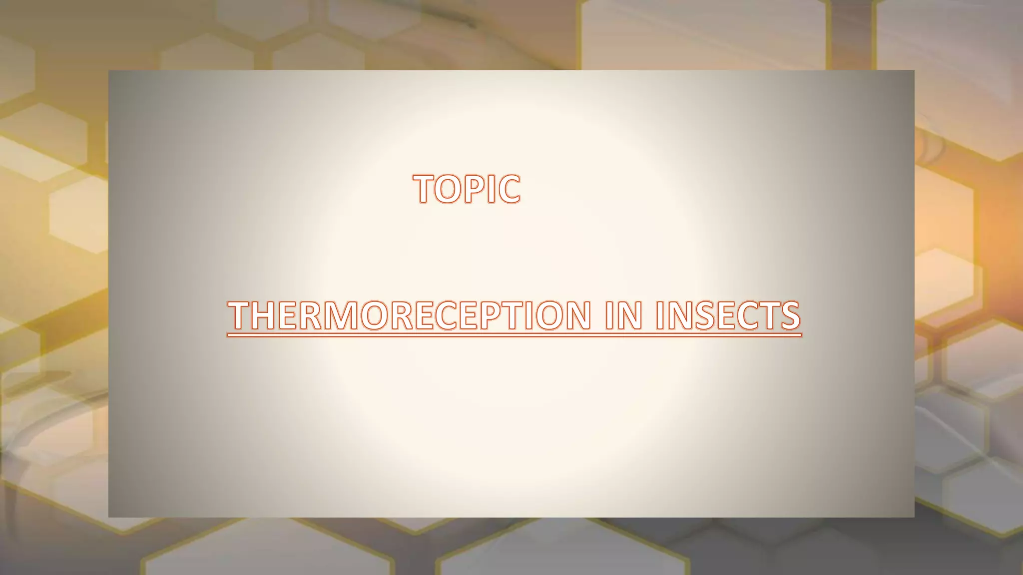 Thermoreception in Insects | PPTX