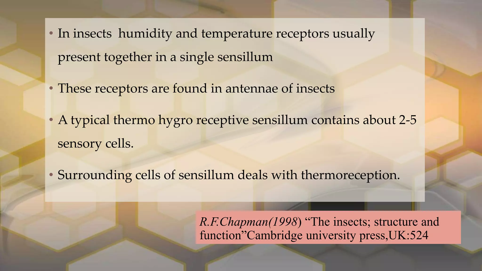 Thermoreception in Insects | PPTX